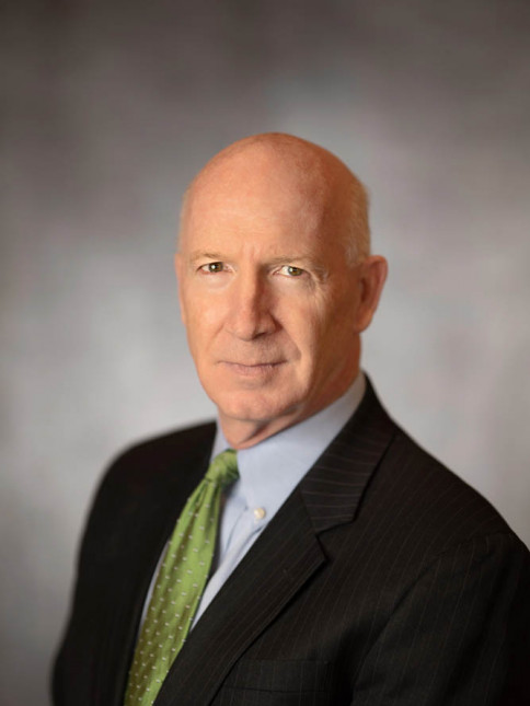 Texas Litigation Section